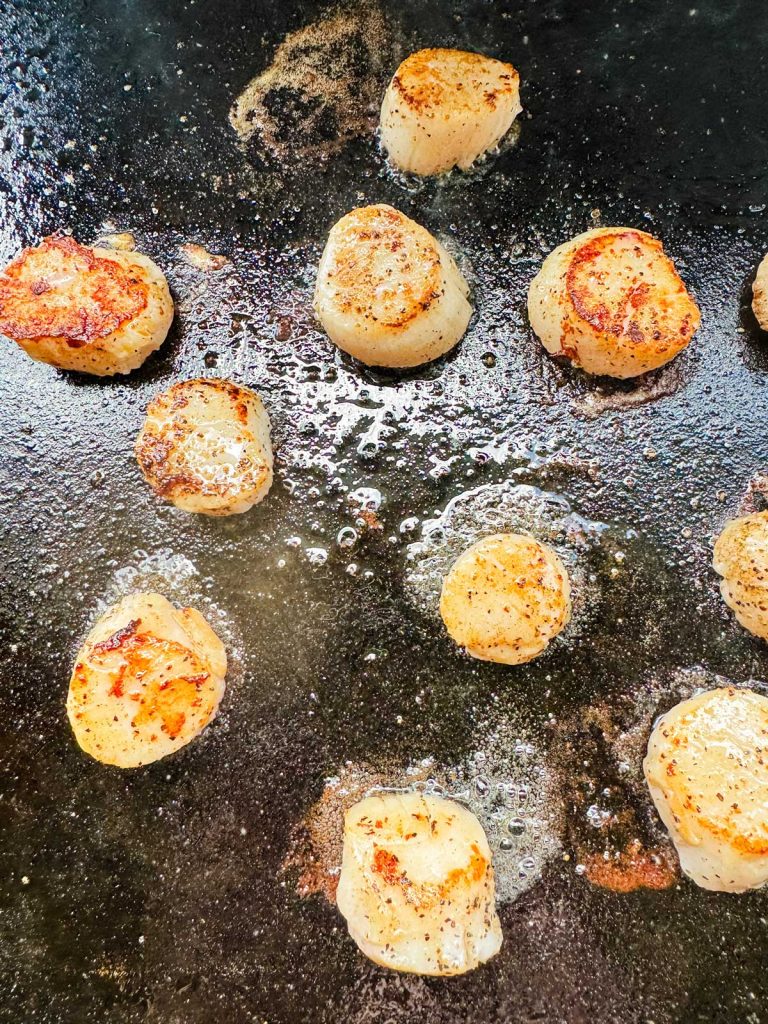 Blackstone Scallops - Wendy Polisi